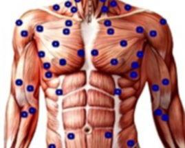 Using The Knuklball For Trigger Point Therapy 2605